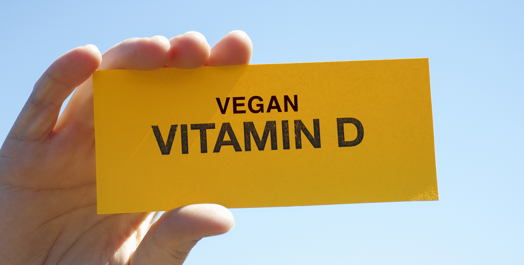 Vegan Vitamin D3 — Nutravita United Kingdom